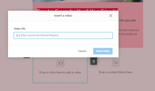 Getting Started: Launching Your First Toast Marketing Campaign